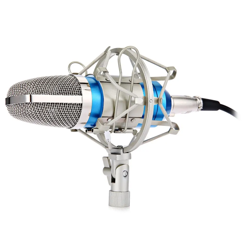 BM 700 Blue Professional Uni directional Condenser Studio Sound ...