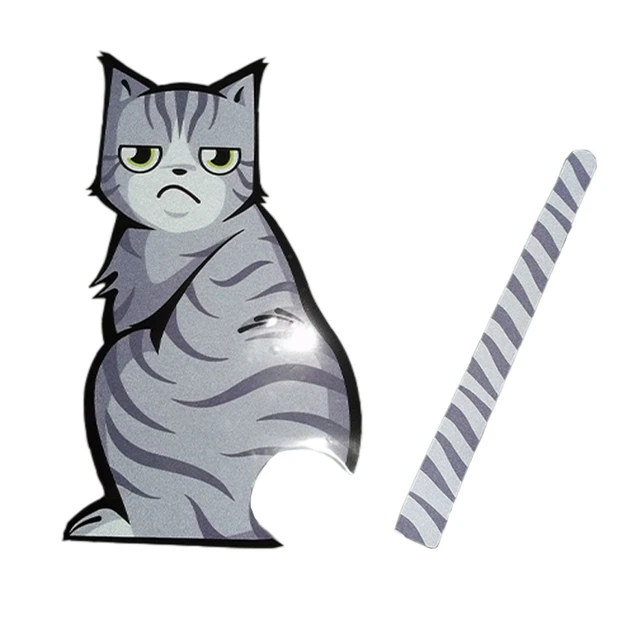 Funny Moving Cat Animations