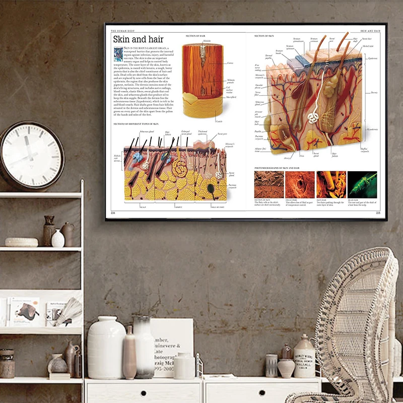 Vintage-Human-Anatomy-Encyclopedia-Poster-Feet-Classic-Canvas-Paintings ...