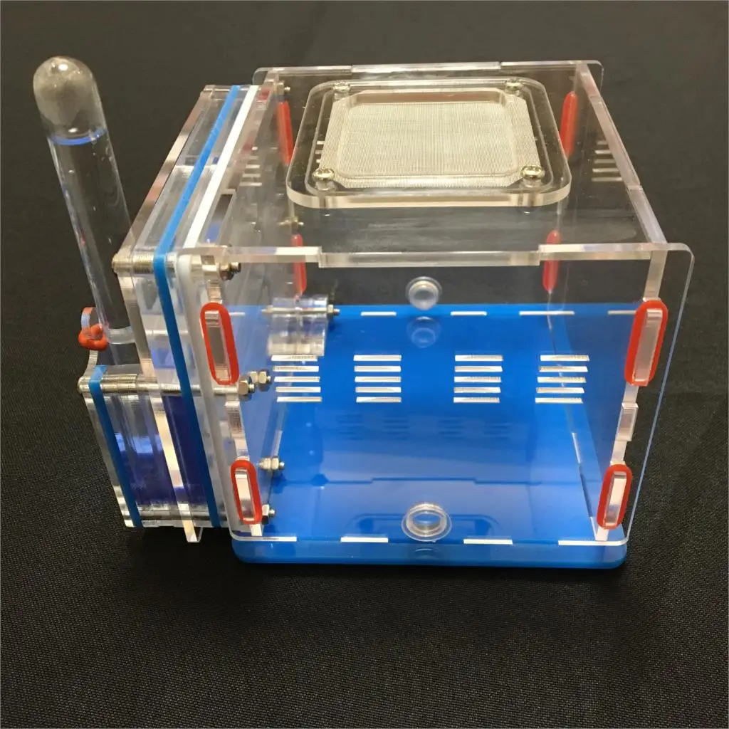 Ant Breeding Insect Box - Enjouet