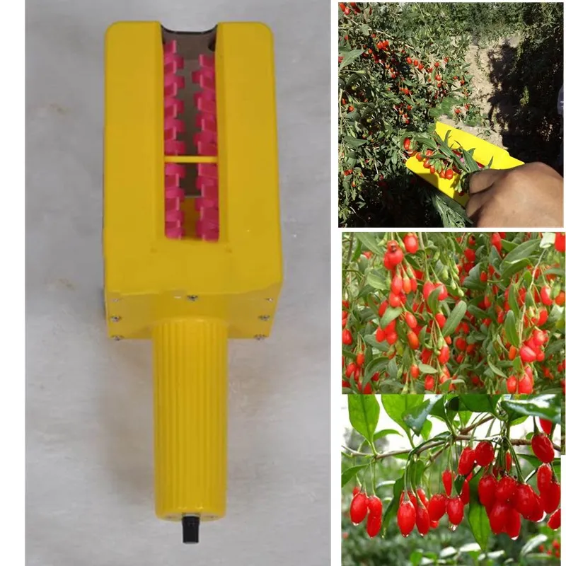 Small and portable wolfberry harvester no battery giji fruit picker ...