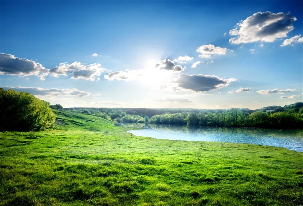 Laeacco Blue Sky Cloud Green Grassland Lake Scenic Photography ...