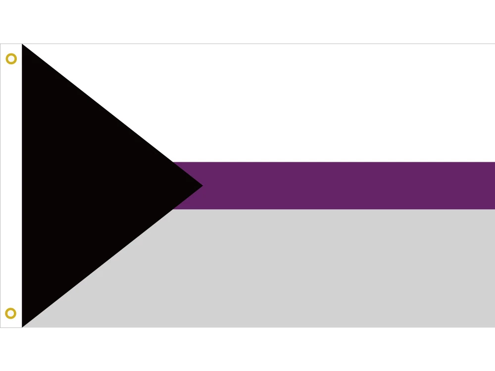 Demisexual Flag