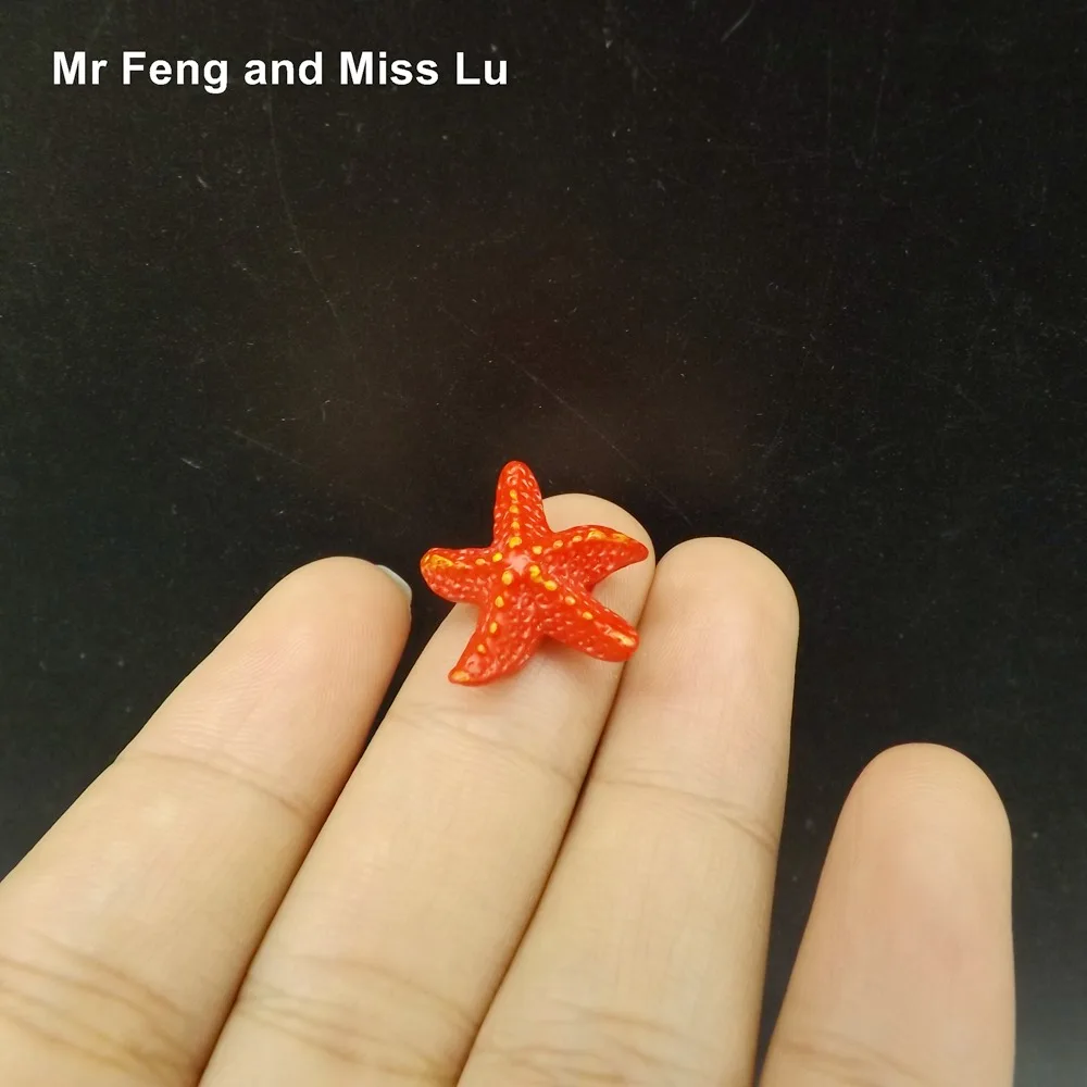 Smallest Starfish In The World