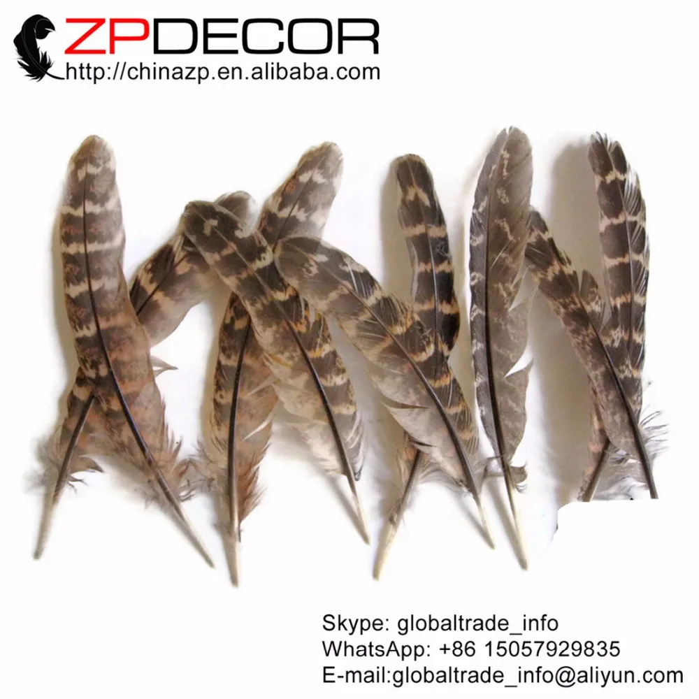 ZPDECOR 100 stück/lot 10 12cm Premium Qualität NATÜRLICHE Hen Ringneck ...