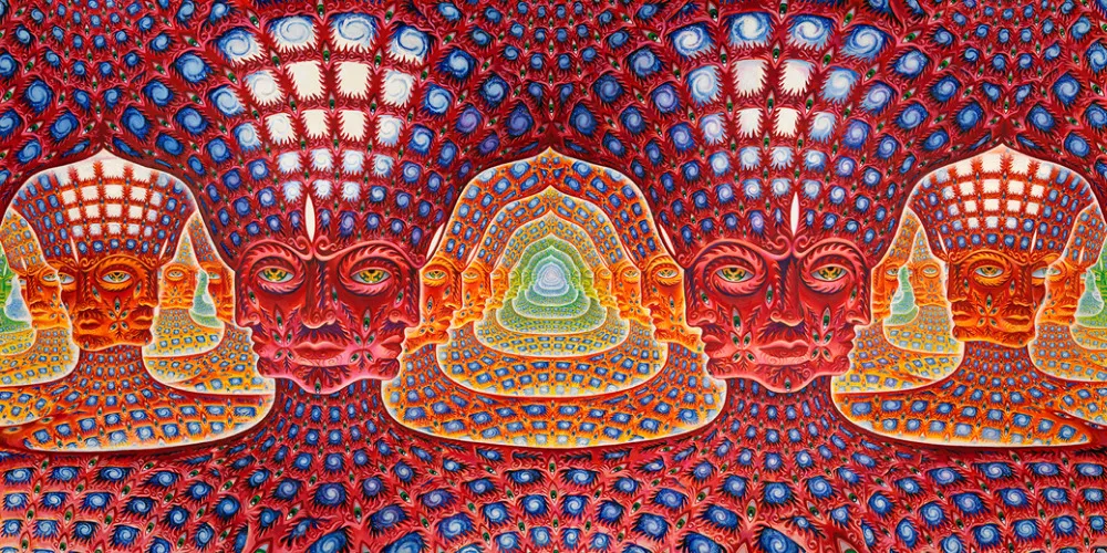 Alex Grey 48 "x 24" 25 "x 13" Trippy Alex Grey Wall Poster Home Decor ...