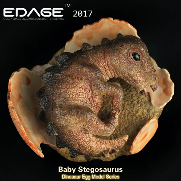 Baby Stegosaurus