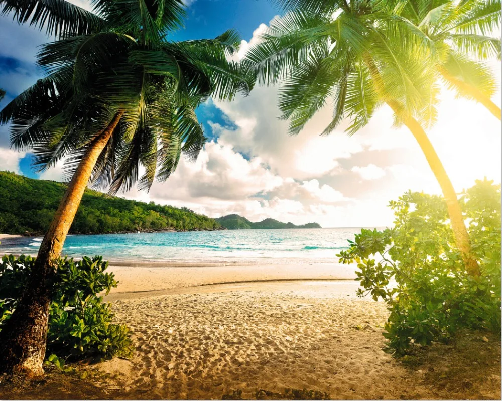 8x8FT Palmboom Zee Strand Zonlicht Mountain Kustlijn Shore Shore Custom ...