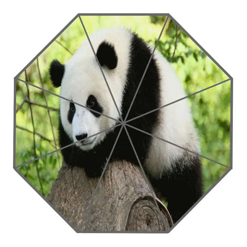 Nice China Panda Umbrella Custom Sunny and Rainy Umbrella Design ...
