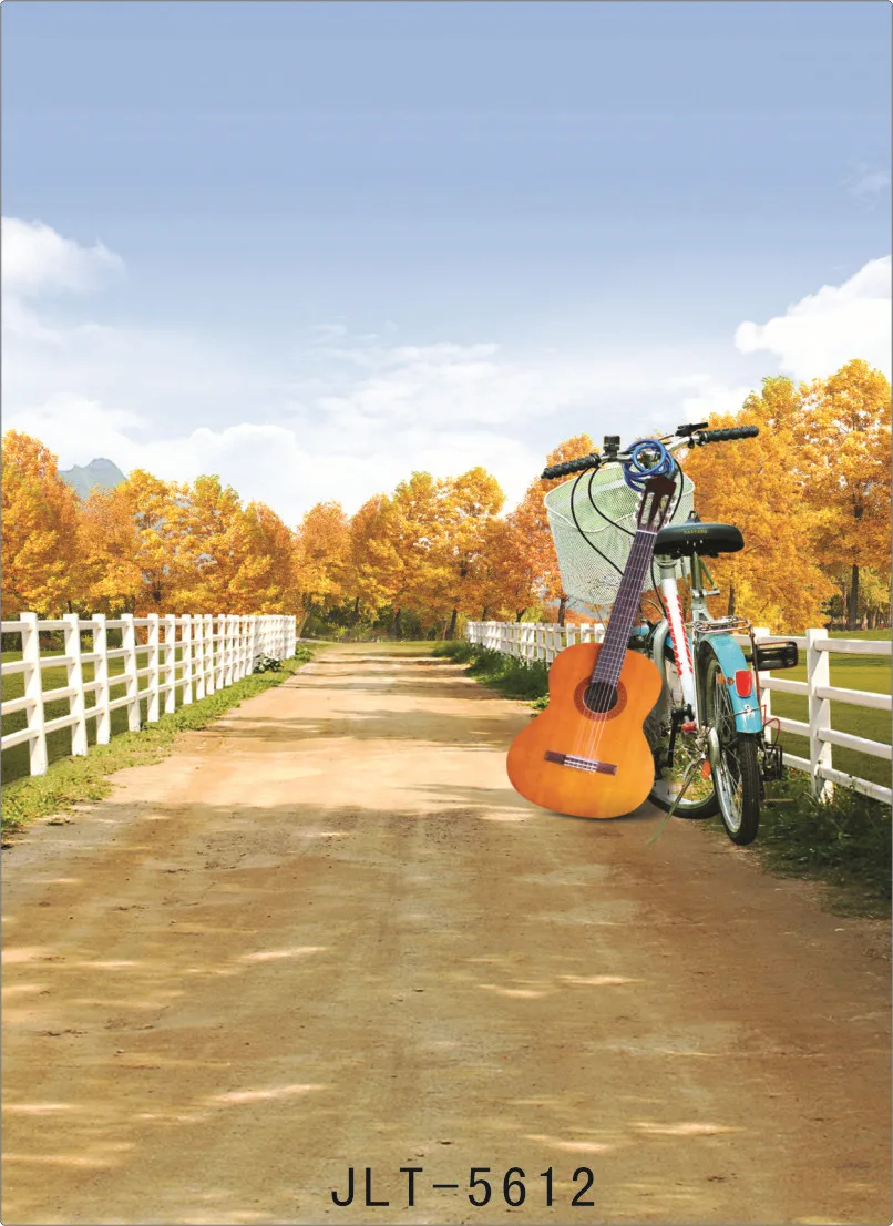 Bike&guitar Garden Photography Background Computer Printed Vinyl ...