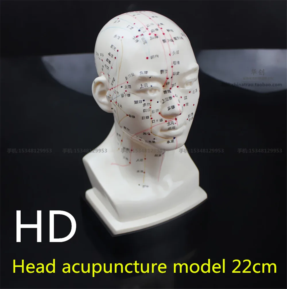 medical-Head-acupuncture-model-22cm-high-definition-face-Facial ...