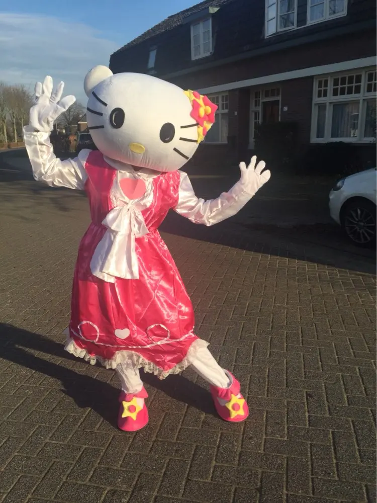 Diy Hello Kitty Costume For Adults