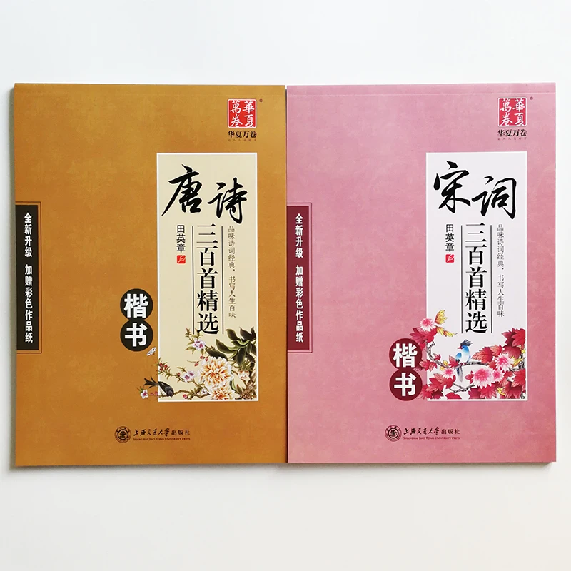 2Pcs/set Chinese Calligraphy Copybooks for Pen Kaishu Tang Poem & Song ...