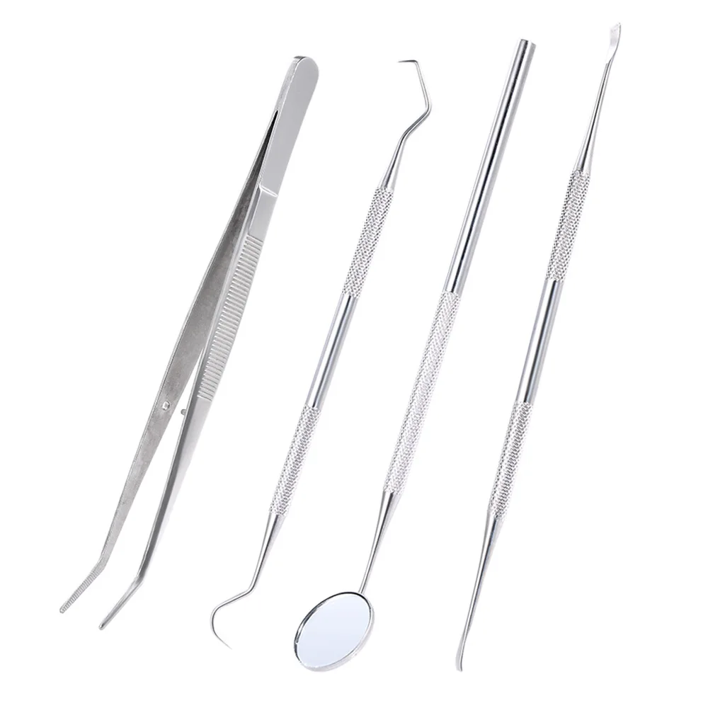 4Pcs Stainless Steel Dental Instruments Dental Examination Tooth Mouth ...