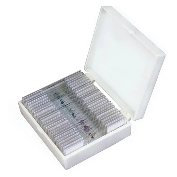 AmScope-Supplies-25-Glass-Prepared-Microscope-Slides-with-Plastic-Box.jpg