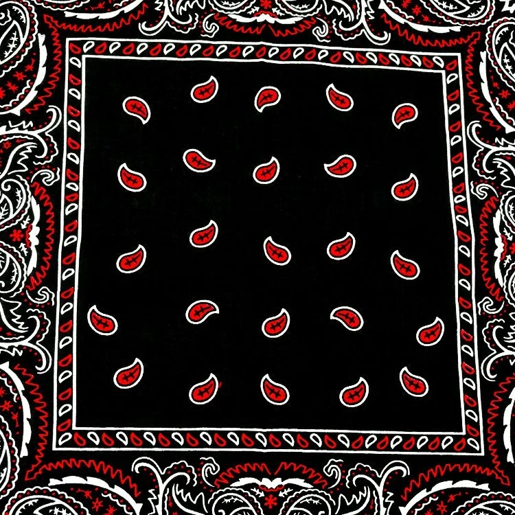Red And Black Bandana Design