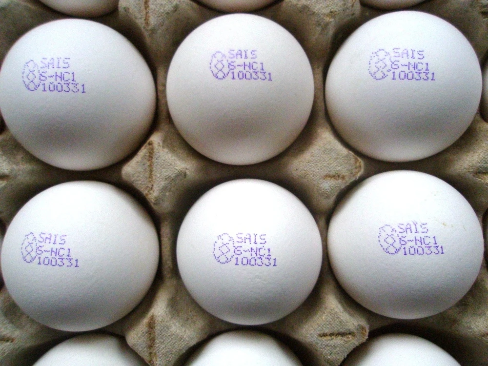 SPF eggs|egg care|spf concealeregg faberge - AliExpress