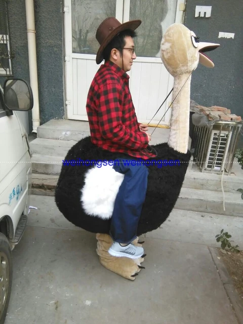 Ostrich Riding Costume