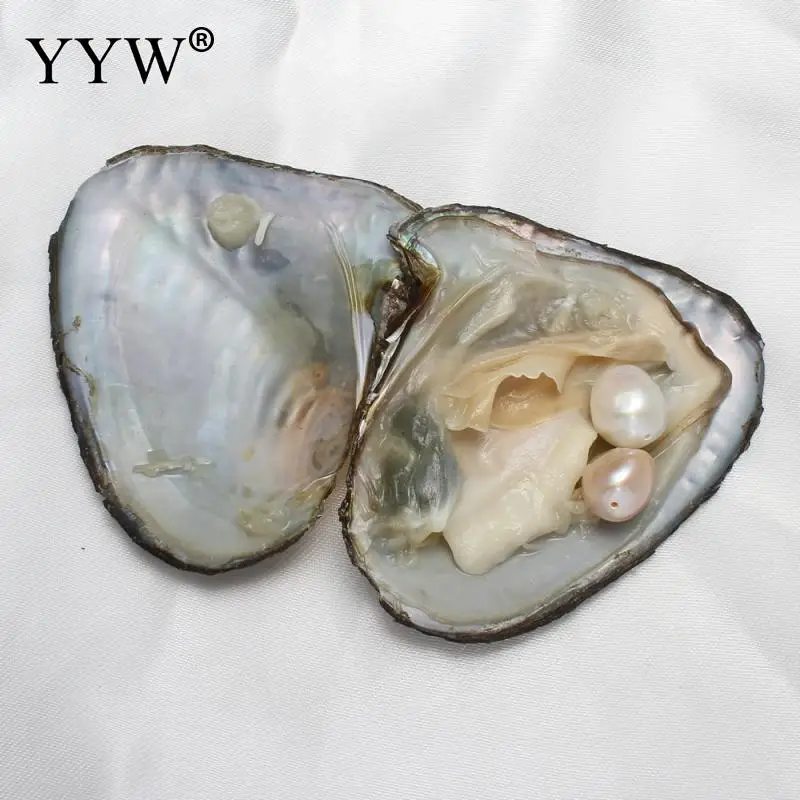 Surprise Gift Freshwater Vacuum pack Oyster Wish Pearls 10 11mm Pearl ...