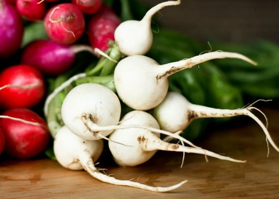White Globe Radish