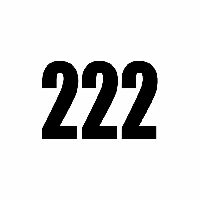 YJZT 13.2CM*9CM Fashion Fun Race Number 222 Vinyl Decals Car Sticker ...