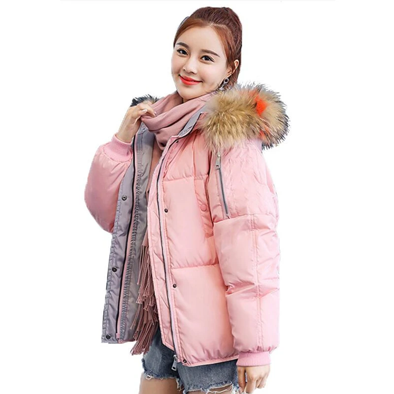 Ladies Short Winter Jacket Women Cotton padded Down Jacket Loose Fur ...