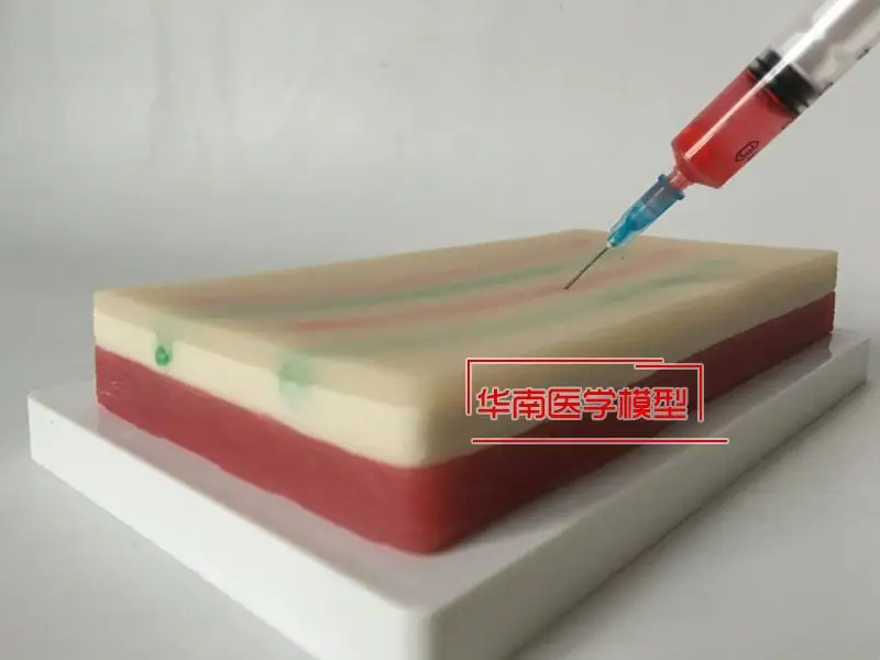 Genuine-original-skin-model-venous-puncture-injection-practice-skin ...