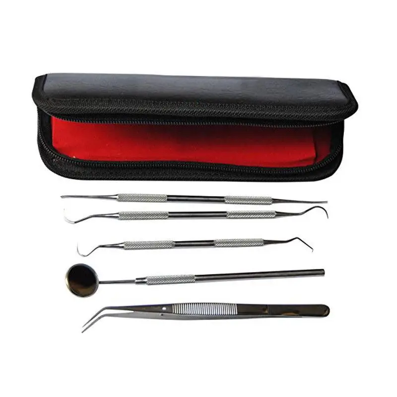 Dental Hygiene Instrument Kit