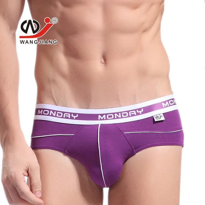 Wj Brand Mens Sexy Bamboo Fiber Cotton Brief Underwear Fashion Stretch
