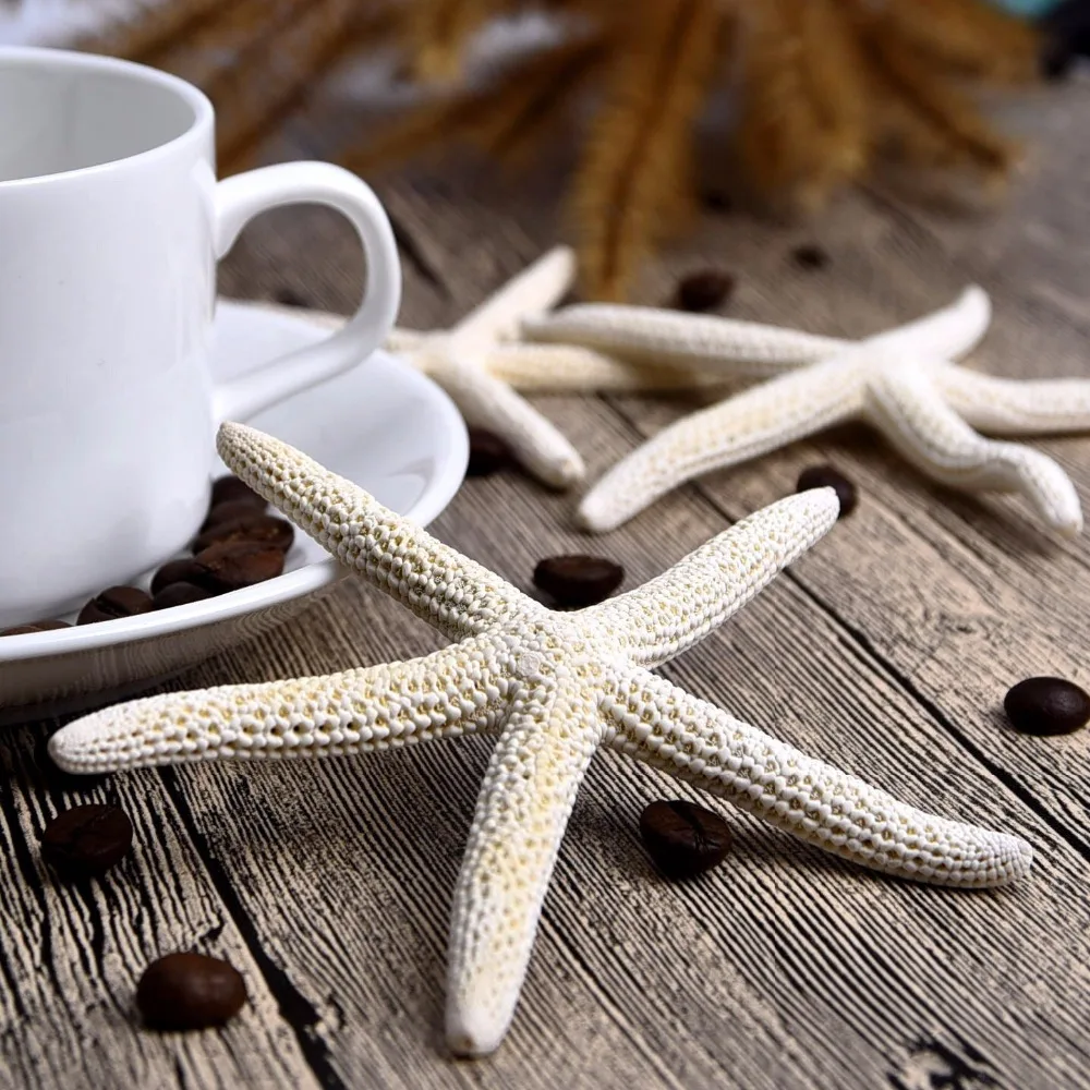 HappyKiss-White-Natural-Starfish-Real-White-Finger-Starfish-size-10 ...