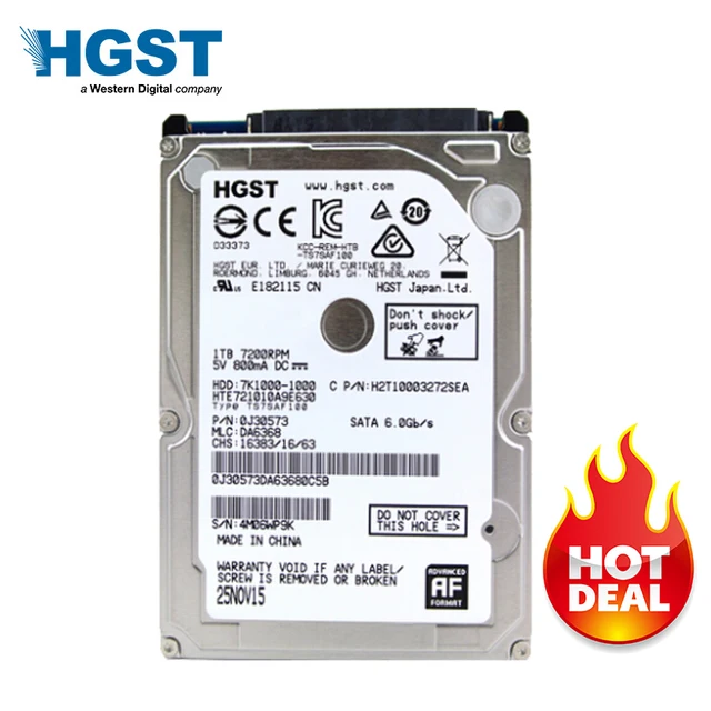 Hgst Logo