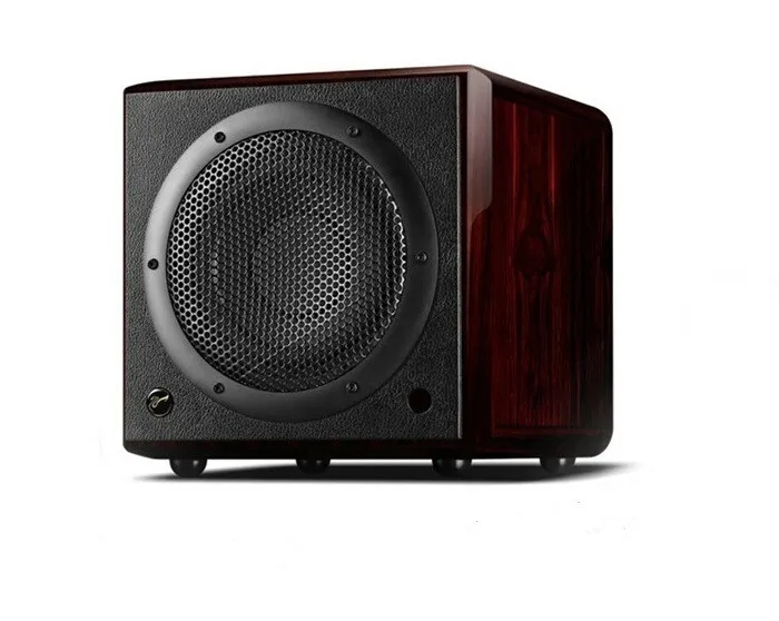 H10 SUB Active Subwoofer One way vented active subwoofer active speaker ...