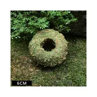 Moss Ball Planter - fly-jpn.com | your guide to japan: moving, living ...