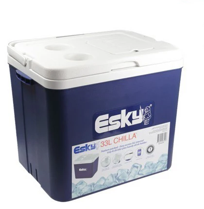 Mini ice box for automobile 33l esky cooler box car refrigerator ...