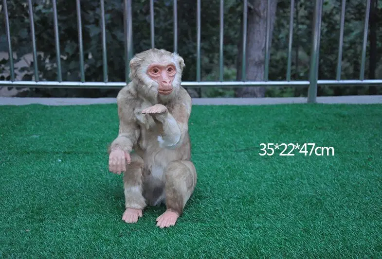 large 35x22x47cm simulation monkey polyethylene&furs monkey model prop ...