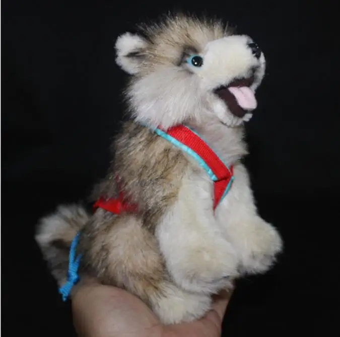 Simulation Alaskan Sled Dog Doll Plush Toy Male Female Toys Children ...