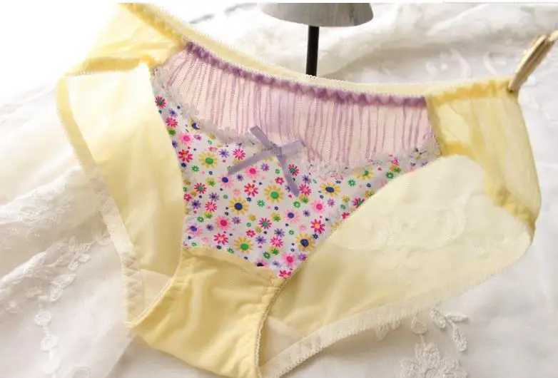 Japanese Floral Lace Underwear Comfortable Low Waist Pastoral Lady