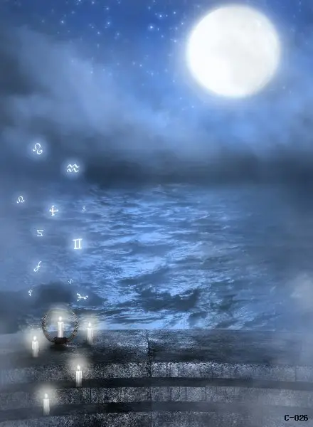 computer printed vinyl photography backdrops C 026 Art fabric photo ...