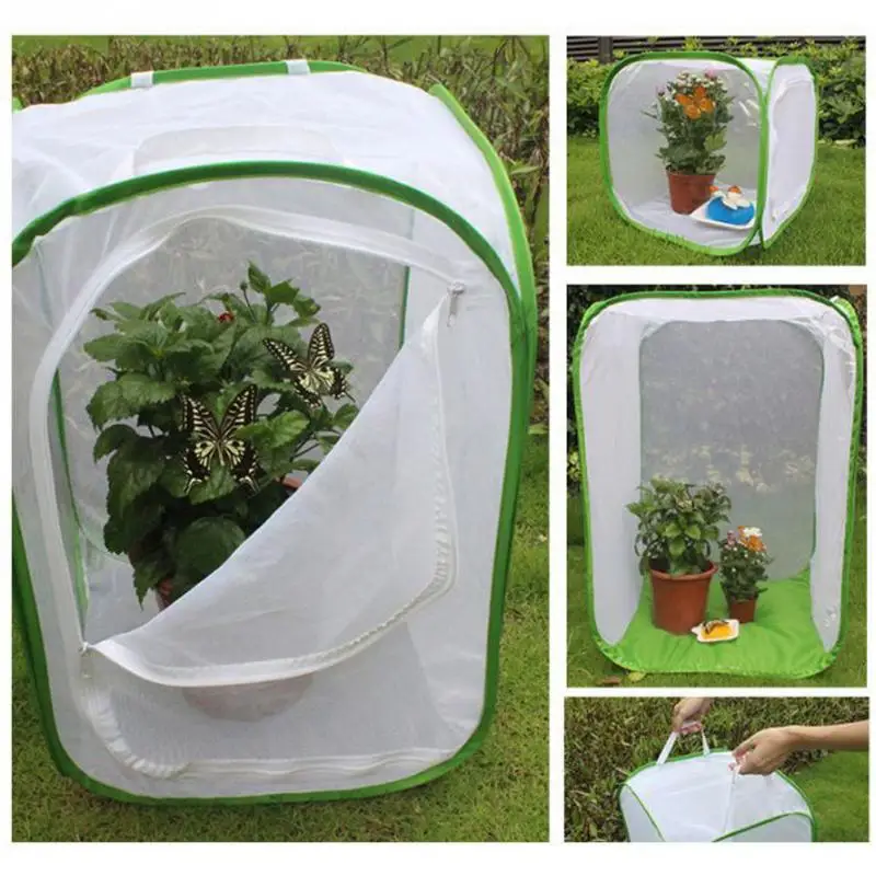 Butterfly Insect Habitat Cage Mesh Terrarium Butterfly Mantis Stick ...