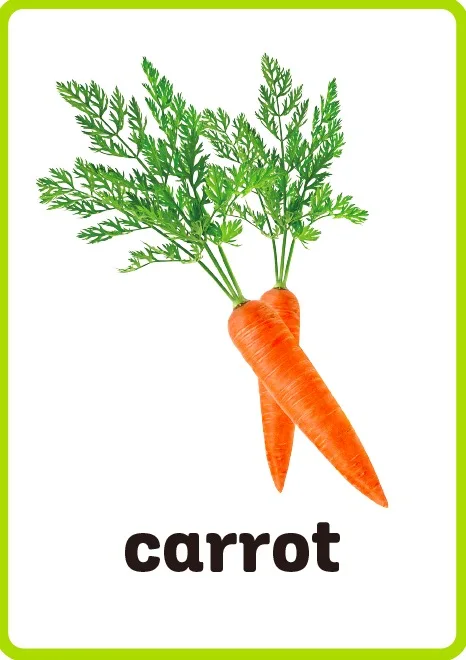 Big Size A4 Poster 20Pcs/Set Teaching Aids Vegetable English baby flash ...