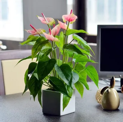 Mini artificial plants office desk decorative flower dining table arts ...