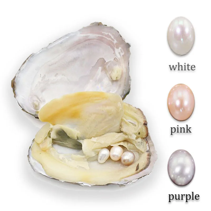 Freshwater Pearls In Shell