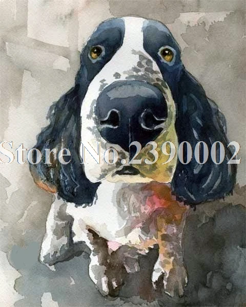 5D DIY Алмазная картина боксер Алмазная вышивка бордюр колли полная ...