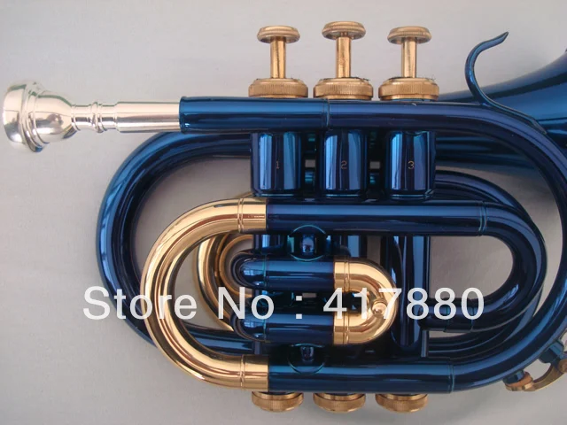 Blue And Gold Trumpet