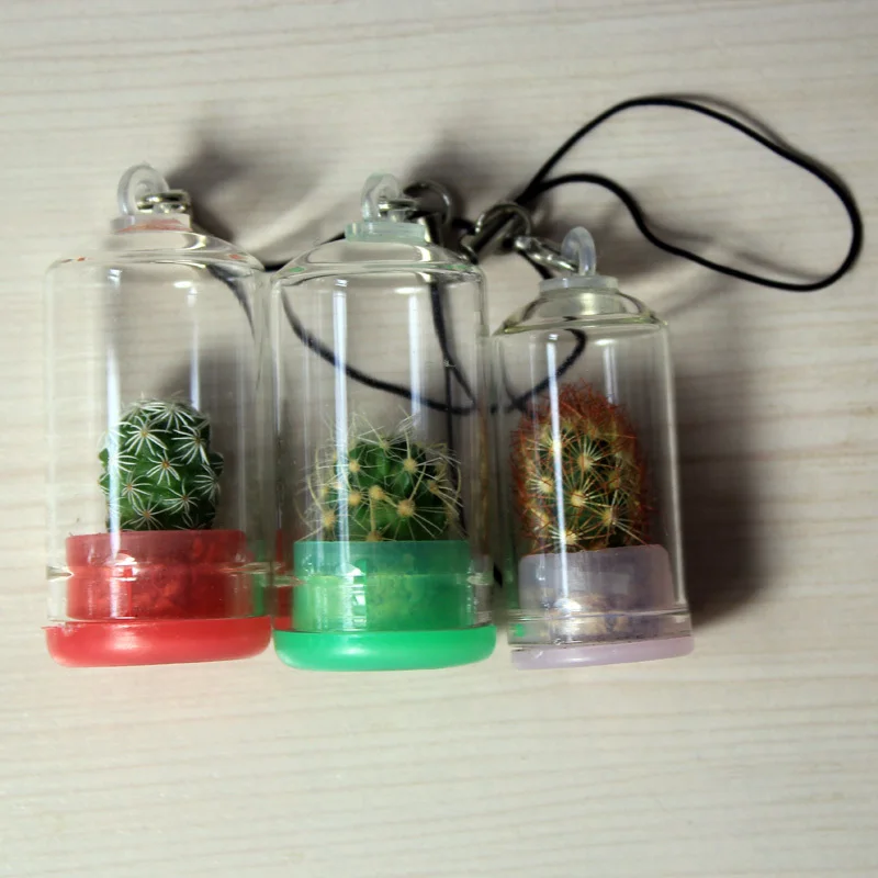 10pcs/lot,Plant Keychain Real Cactus In a Bottle Keyring,An amazing ...