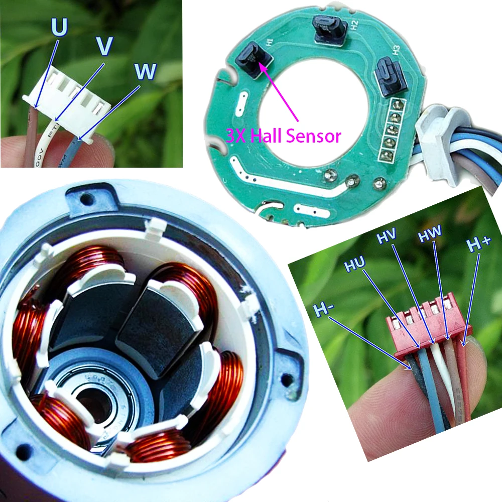 Hall Effect Sensor Working With Bldc Motor Shaft, 56% OFF