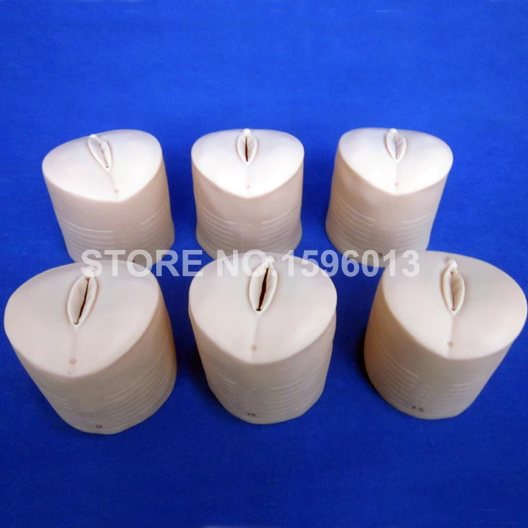 Labor Delivery Prenatal Cervix Birth Canal Model,Cervical Dilatation ...