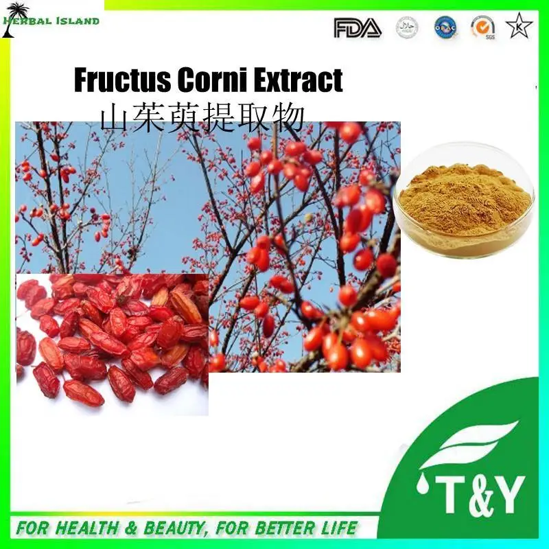 Pore natural organic water soluble Fructus Corni Extract to strengthen ...