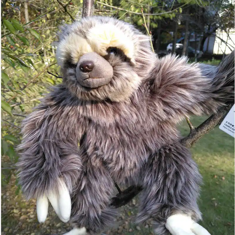 Clearance Sale Three Toed Sloth Hanging Stuffed Toys Real Life Wild ...