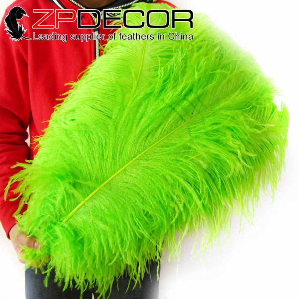 ZPDECOR 100 pcs/lot 60 65cm(24 26inch) Premium Quality Bulk Lime Green ...
